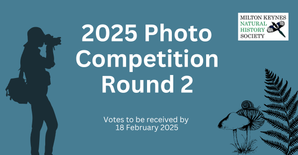 2025 Photo Competition – Round 2 | Milton Keynes Natural History Society